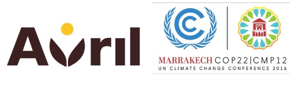 COP22, Il n’y a que des solutions ! - Opinion Internationale