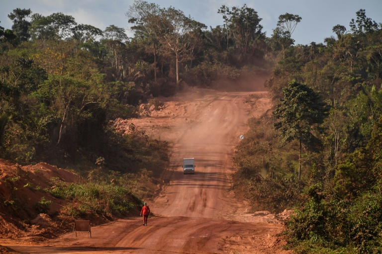 Le modèle économique pour sauver l'Amazonie : "La forêt debout ...