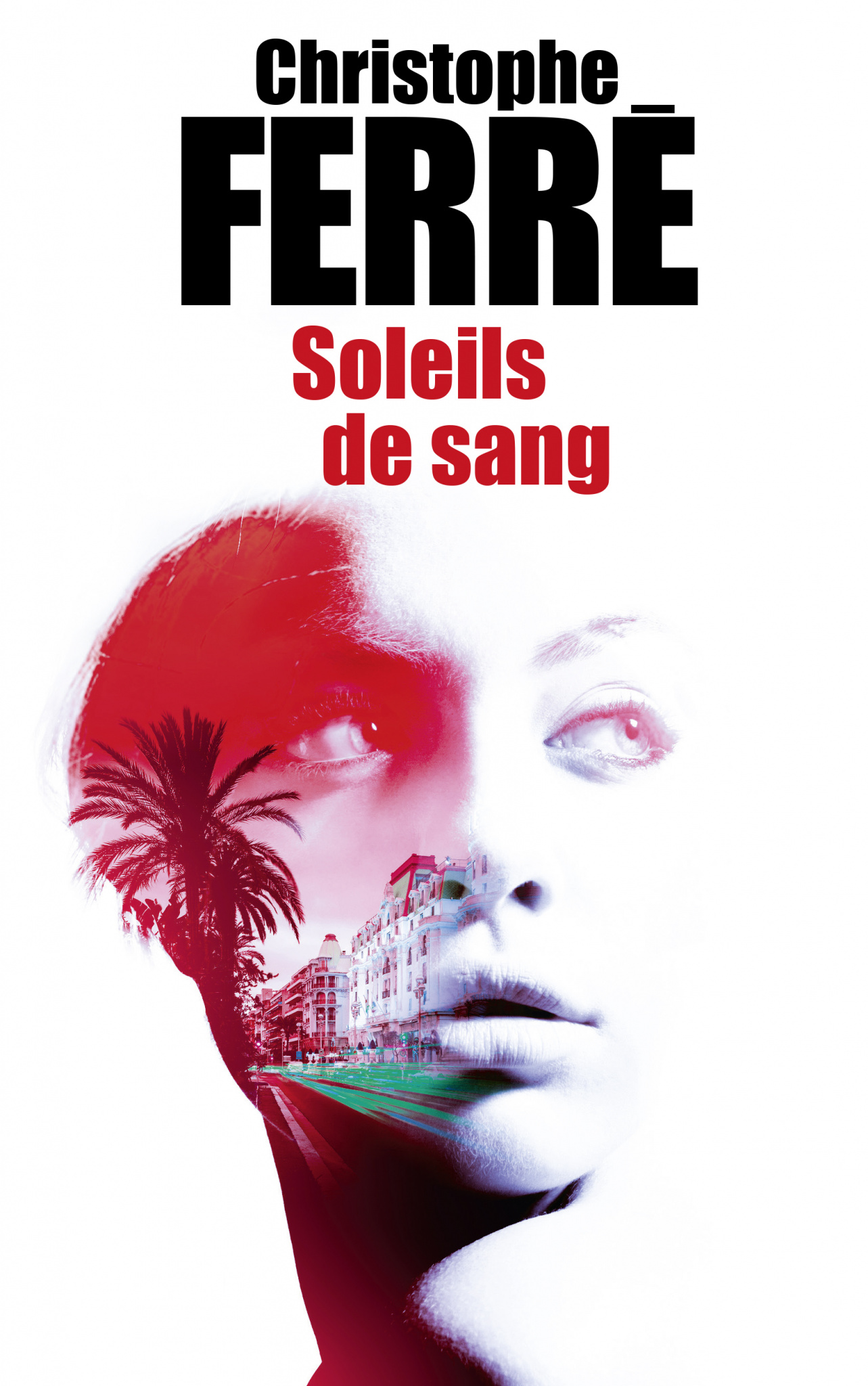 Anatomie des meurtriers : entretien avec Christophe Ferré, auteur de ...