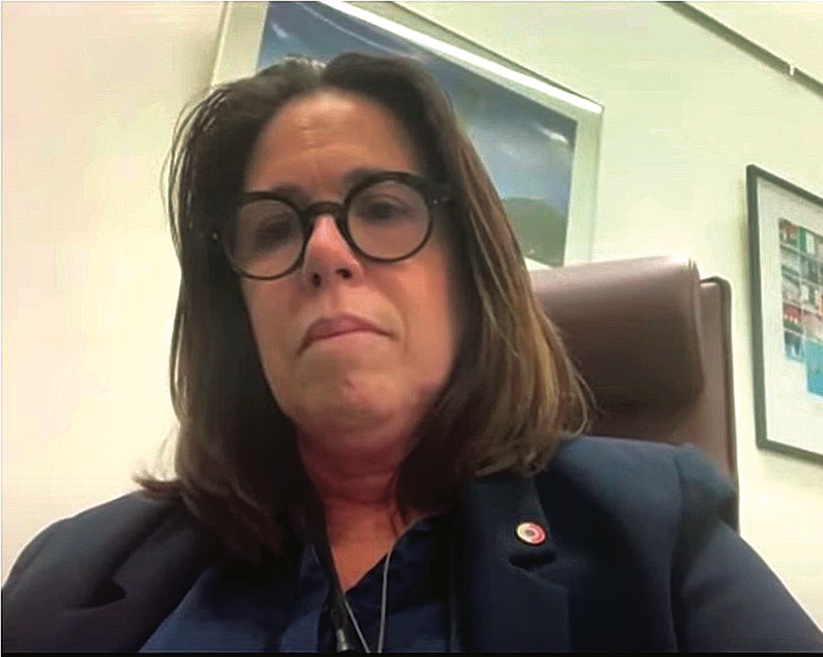 Micheline Jacques, sénatrice, présidente de la Délégation Outre-mer du ...