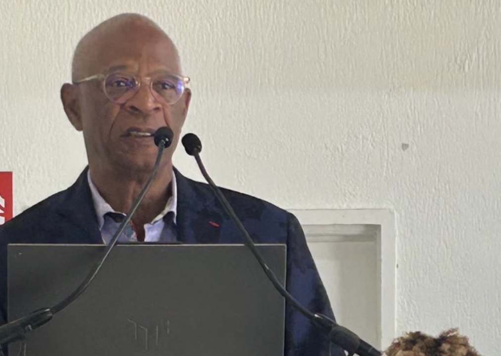 Mémoire des Caraïbes : Pierre Saint-Luce rend hommage aux kalinagos et ...