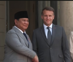 Joint French-Indonesian Strategy on Education, Research and Mobility ...